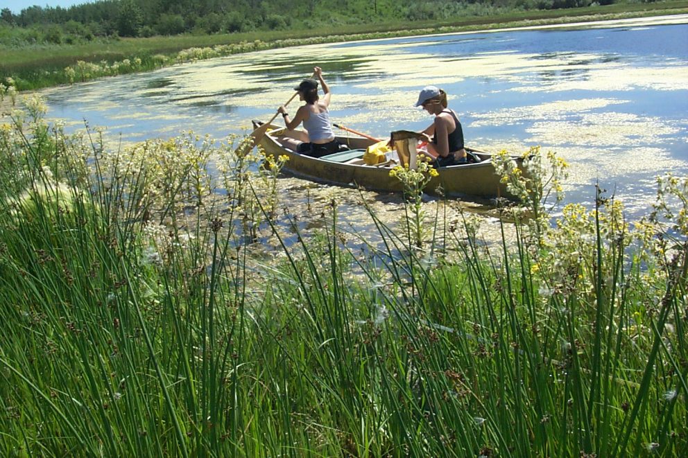 Agriculture & Environment Program - Alberta Innovates