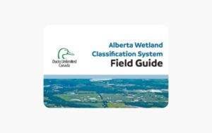 Alberta Wetland Classification System Field Guide - Alberta Innovates