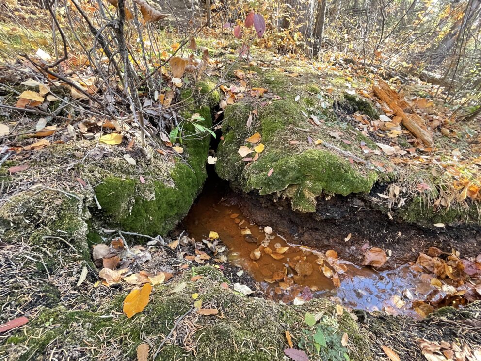 What lies beneath: unraveling the secrets of the North Saskatchewan ...