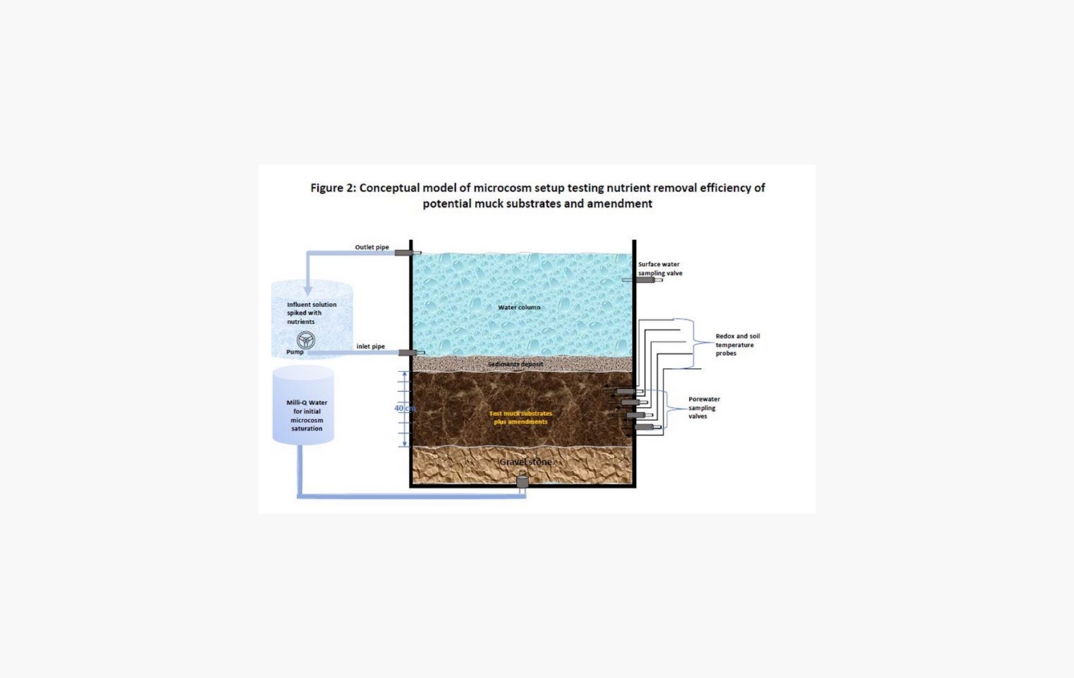Composition of Constructed Stormwater Wetland Muck Substrate - Alberta ...