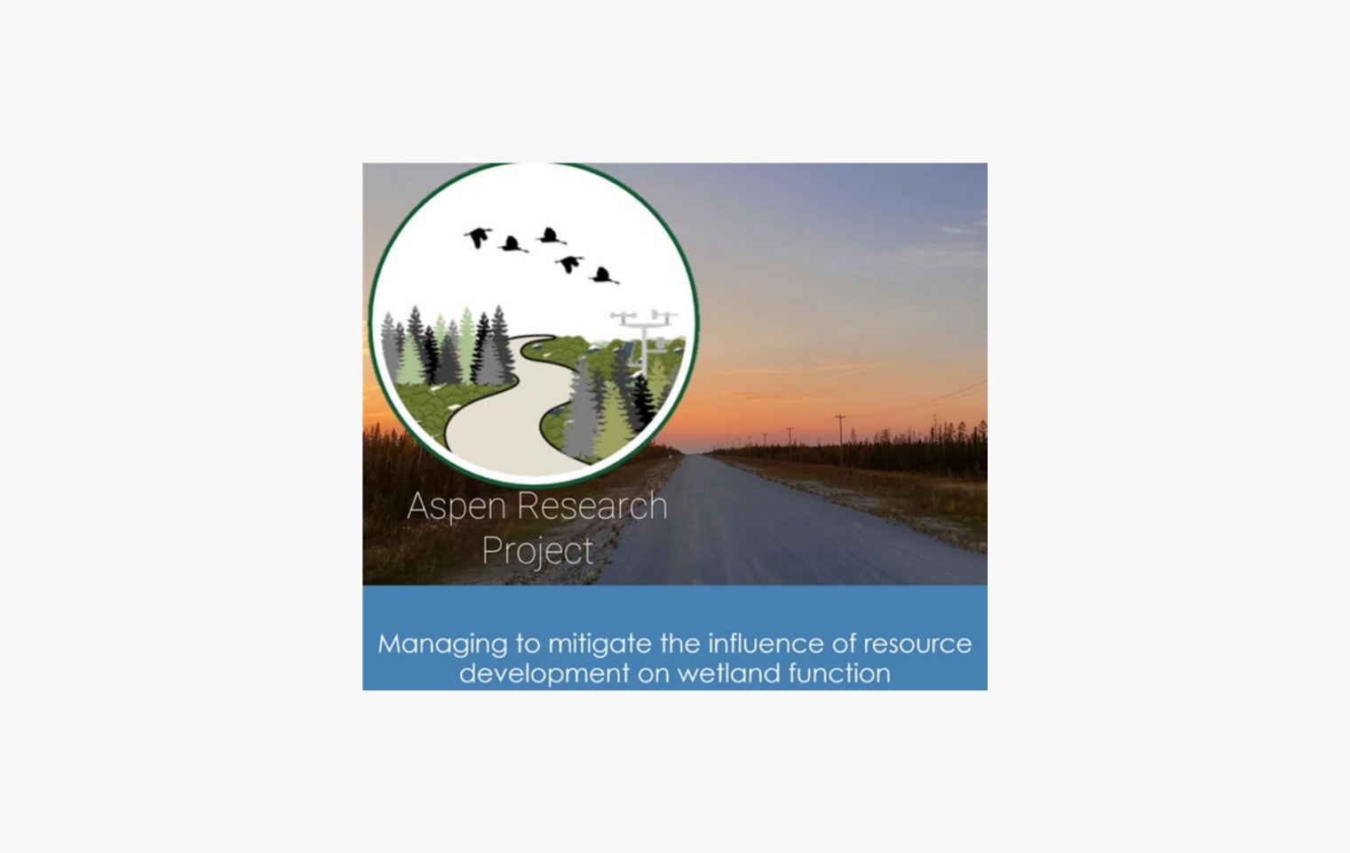 In Situ Influence on Wetland Ecosystem Processes - Alberta Innovates