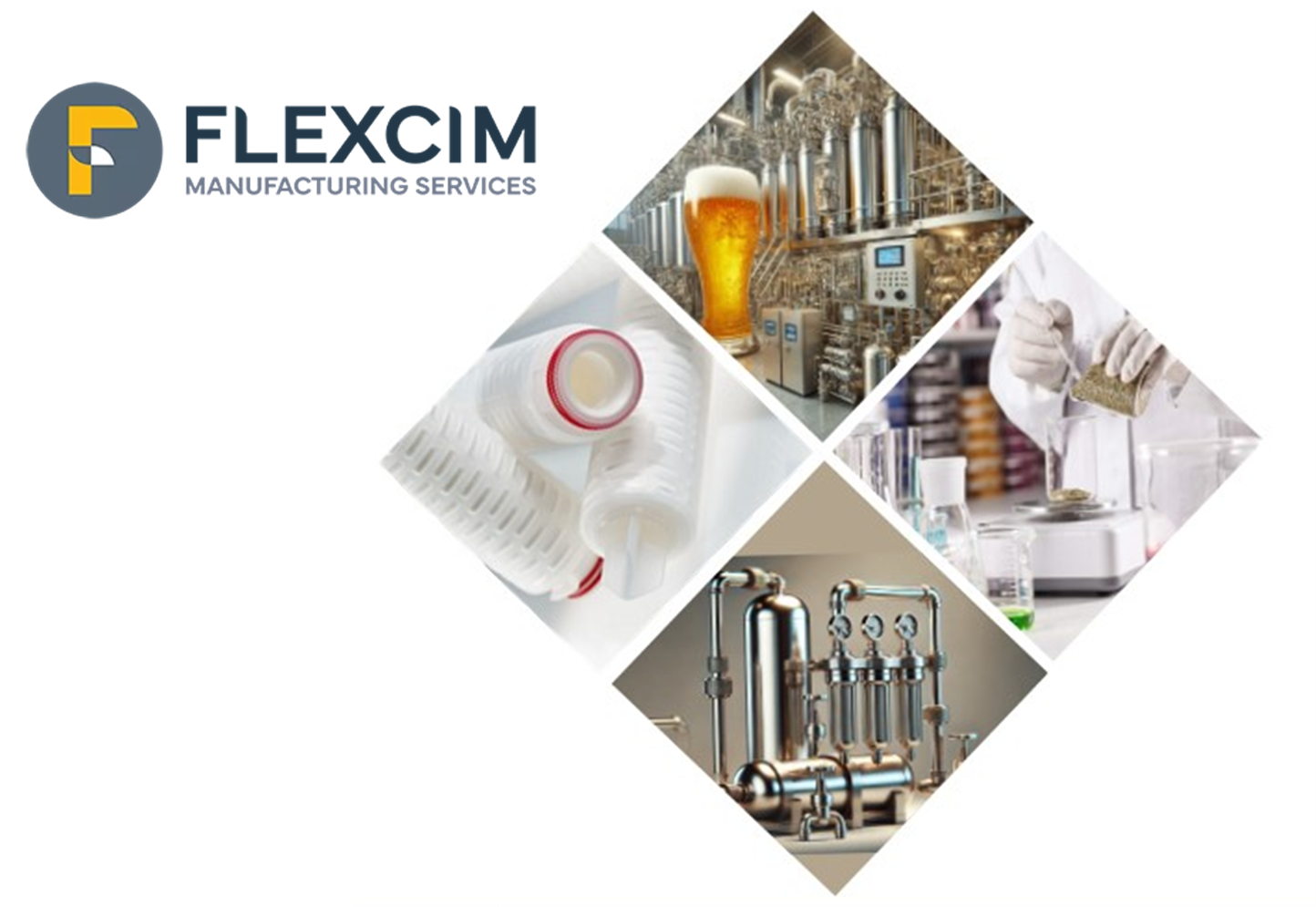 Crafting Sustainable Solutions: Innovating Membranes for Beer ...