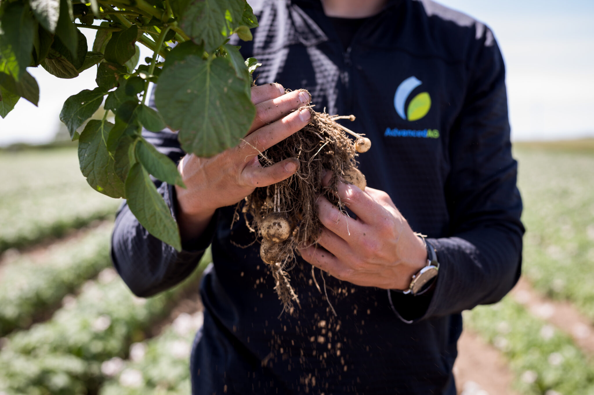 Innovating in agriculture from rural Alberta - Alberta Innovates