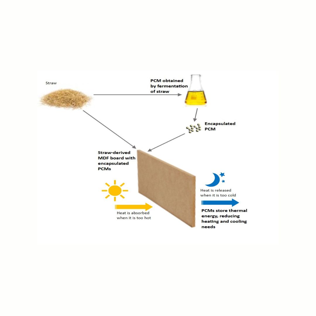 Brewing PCMs: Converting Biomass Wastes into Phase Change Materials for ...