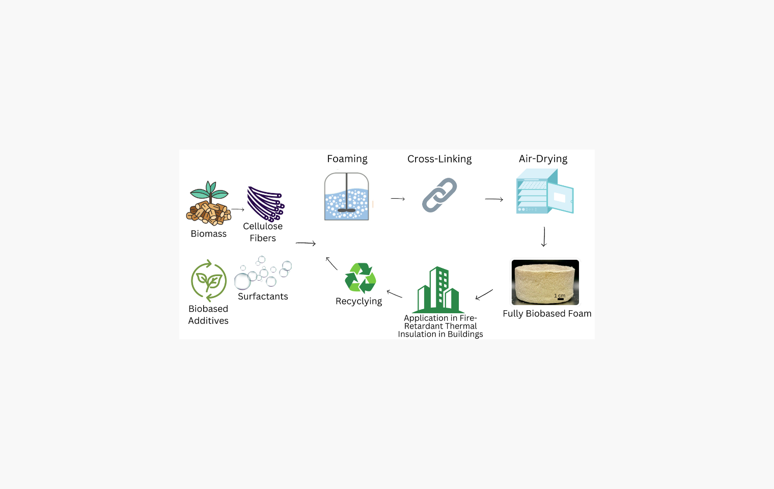 Biomass-Derived Foams as Eco-Friendly Thermal Insulation Solutions for ...
