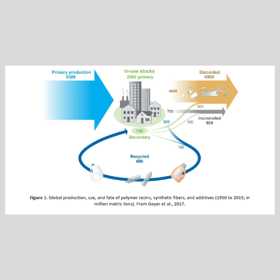 Towards Circularity in Alberta Plastic Waste Management: A White Paper ...